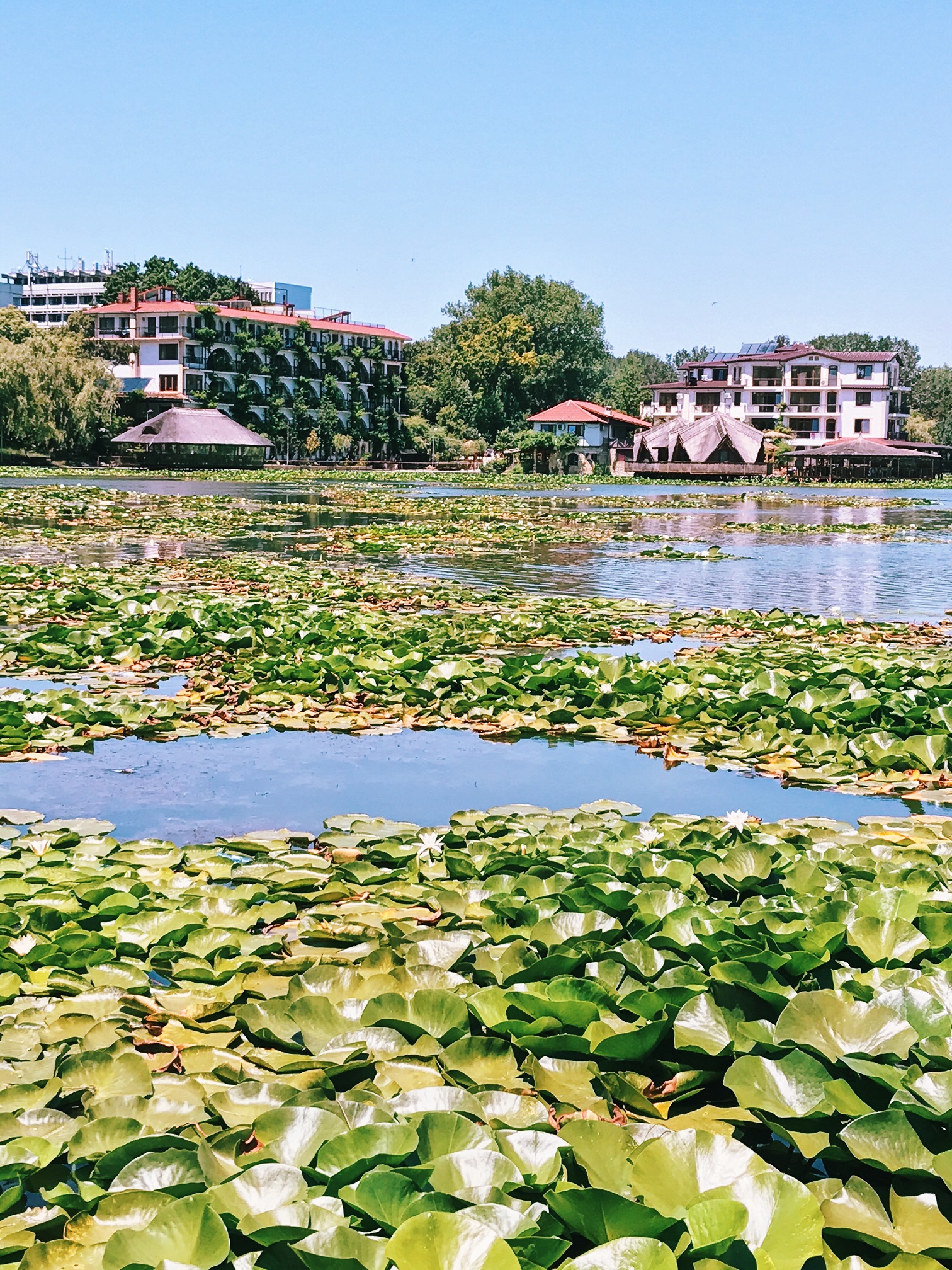 Impresii de la Hotel Insula Neptun – Vacante Inspirate